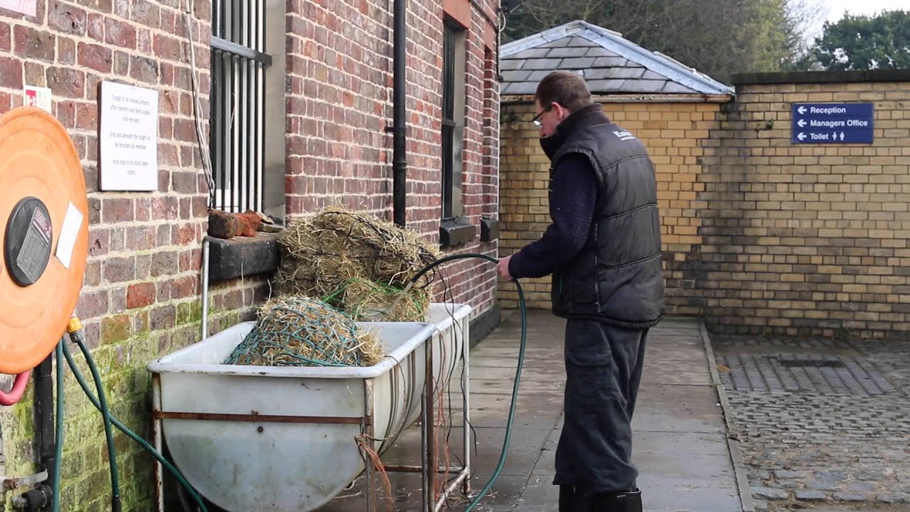 Beechley stables short film - YouTube