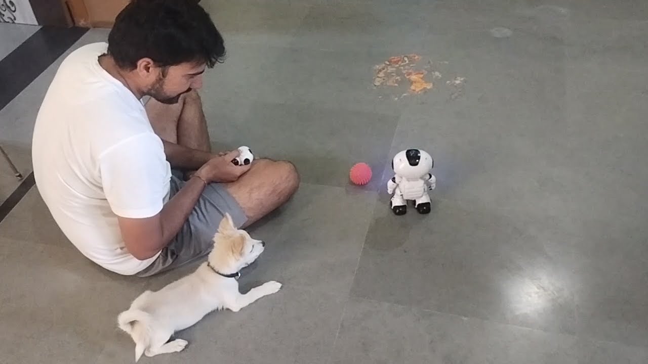 puppy playing with robot toy | adorable puppy playing | little indian ...