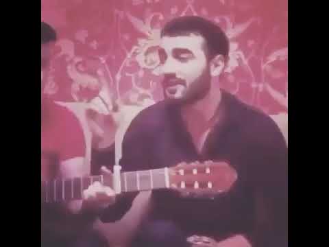 Gara gozdar. Super maxnl