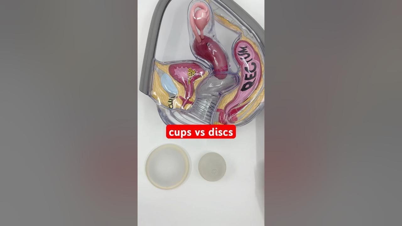 Menstrual Cups vs Menstrual Discs - quick overview #shorts - YouTube