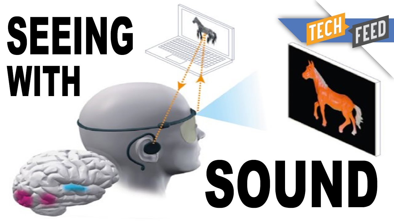 The vOICe Lets The Blind See With SOUND! - YouTube