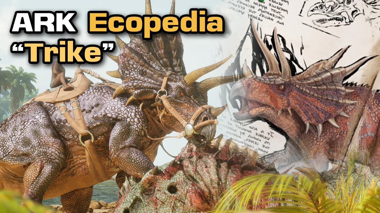 ARK Ecopedia -[#2] Triceratop ขวัญใจมหาชน !?! - YouTube