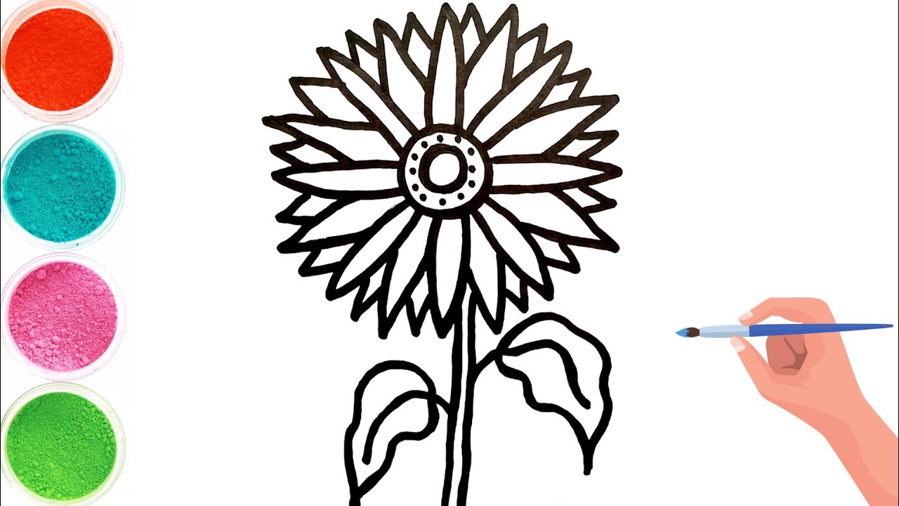 How to Draw Sunflower | Drawing and Colouring for Kids and Toddlers ...