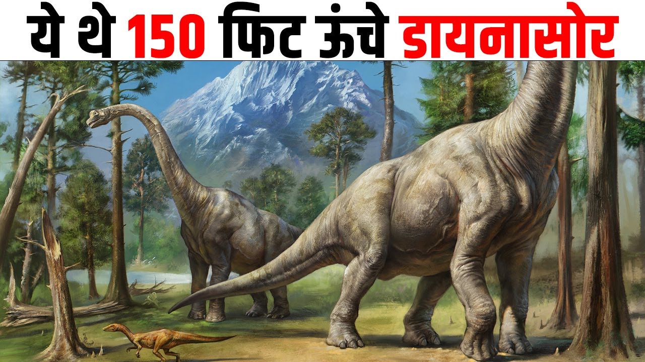 धरती के 7 सबसे बड़े डायनासोर। 7 BIGGEST DINOSAURS HAVE EVER LIVED ON ...