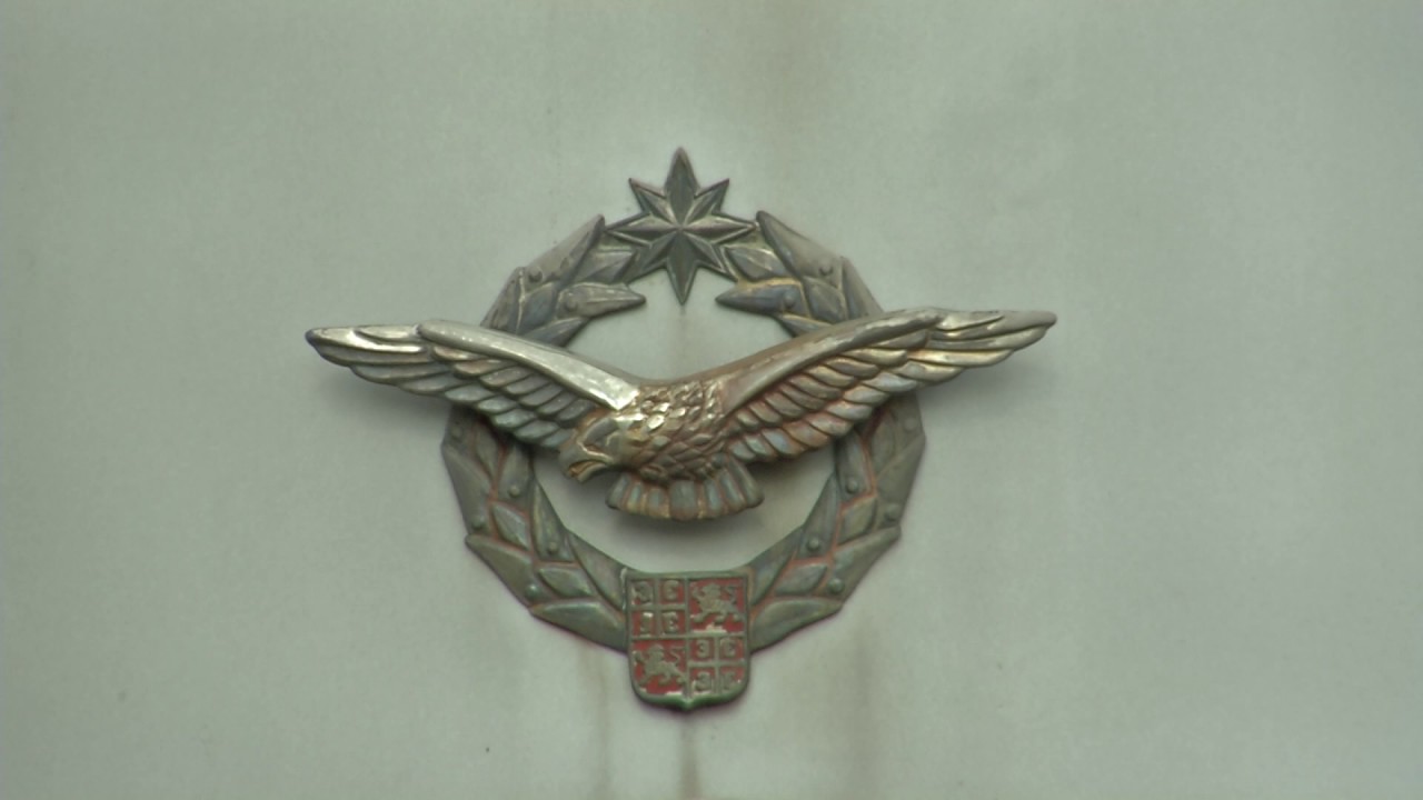 infakt 03052017 Pilot Milenko Pavlovic - YouTube