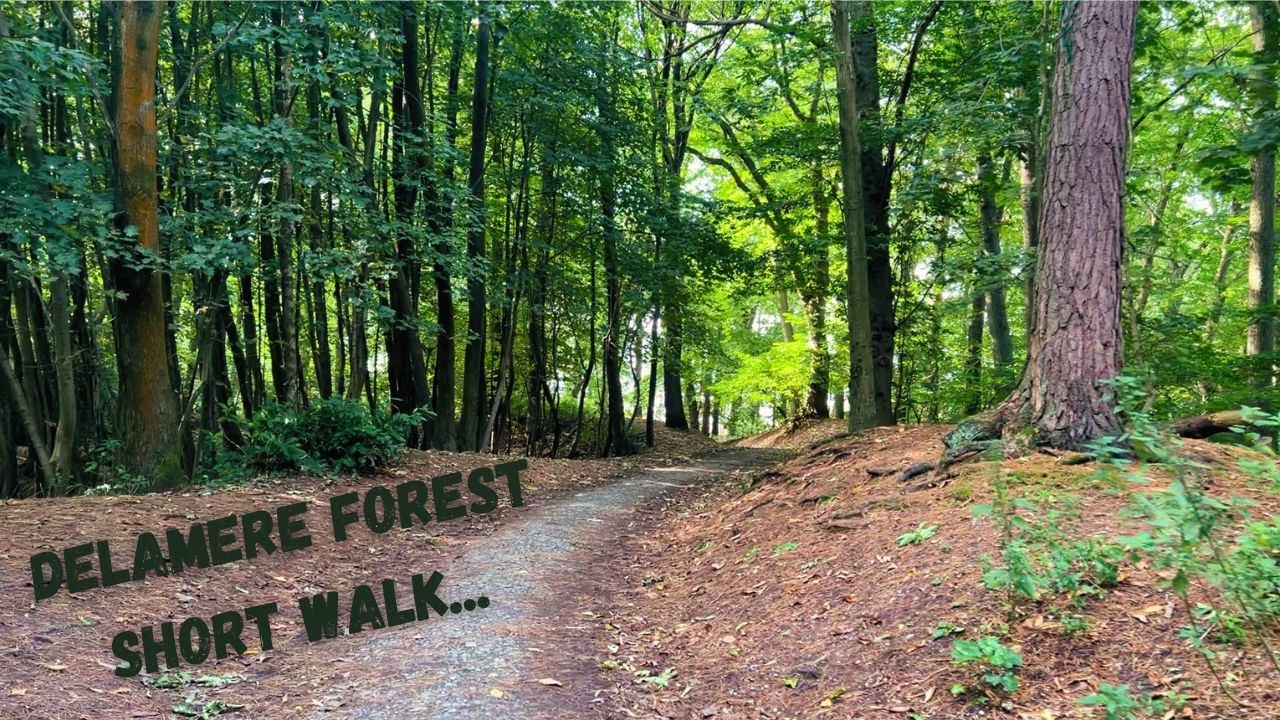 Delamere Forest Walk HD - YouTube