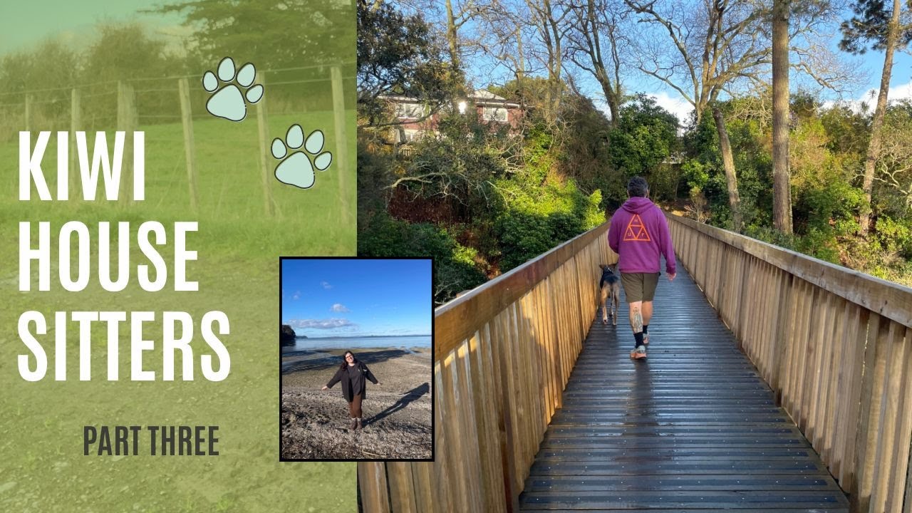 Kiwi House Sitters PART THREE: We stayed at two different houses in ...