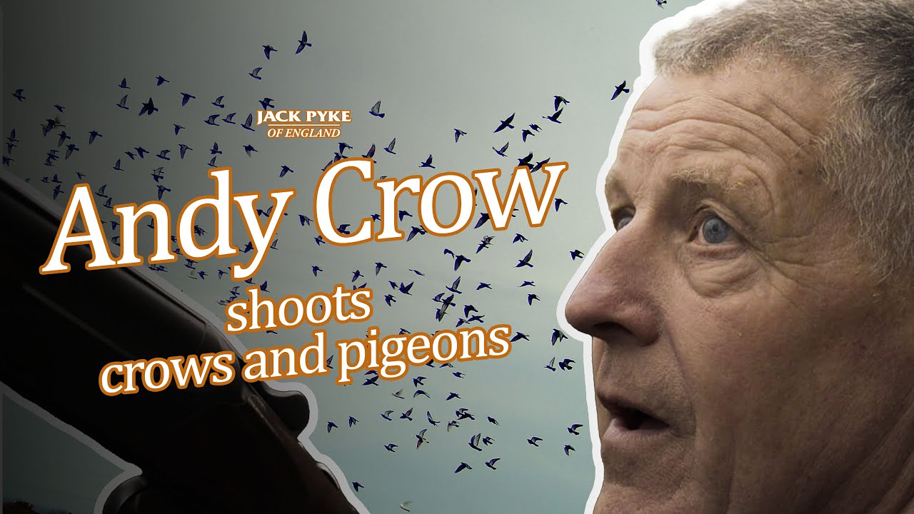 An afternoon in the hide with Andy Crow | Shooting pigeons and crows ...