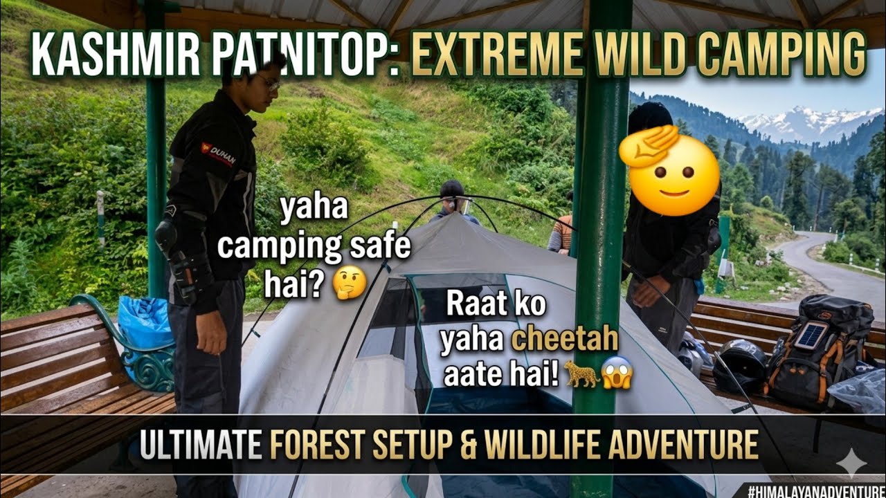 Camping in Patnitop Jungle || Nagpur to Ladakh || RoyalEnfield classic ...