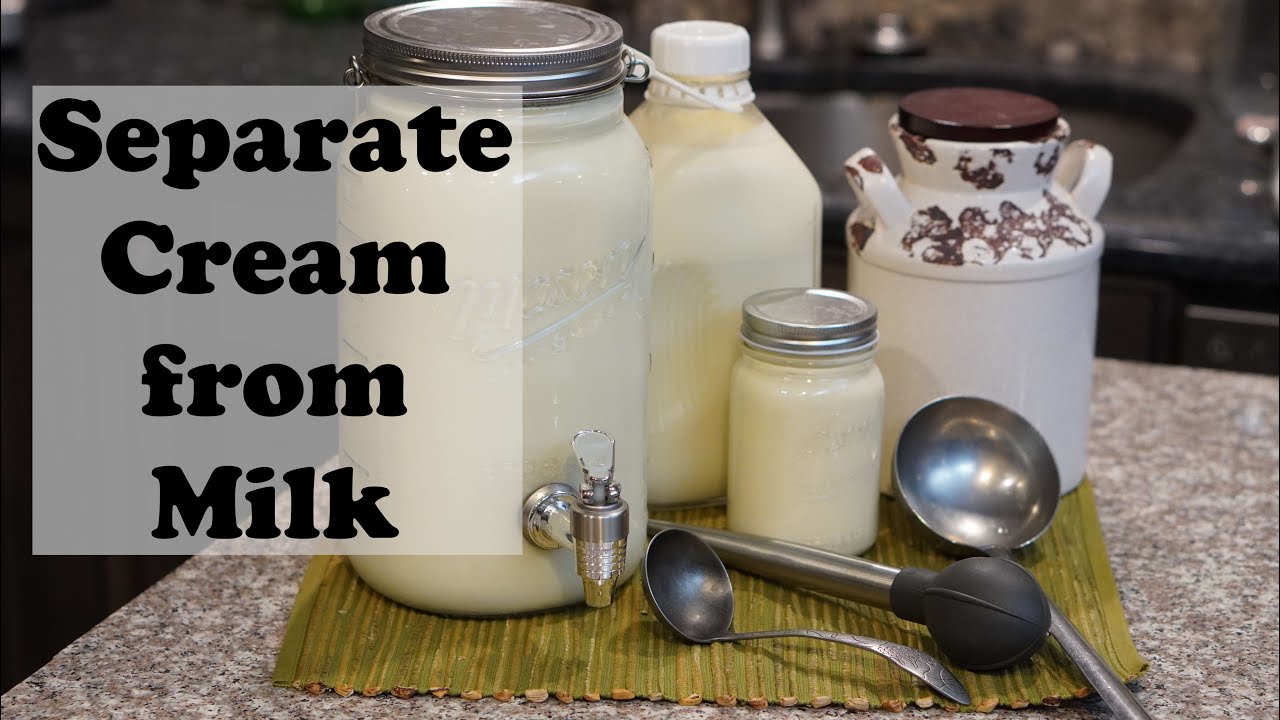 4 Methods to Separate Cream from Milk - YouTube