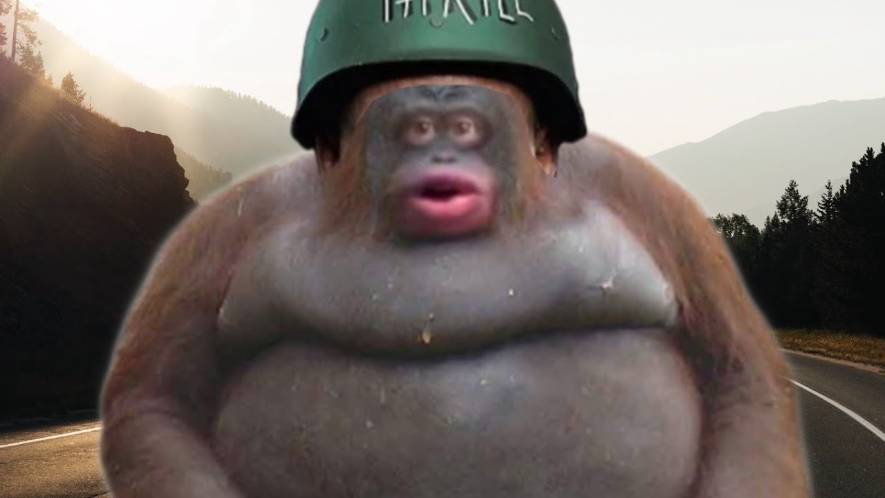 Best MONKE player (maybe)🤔 - YouTube