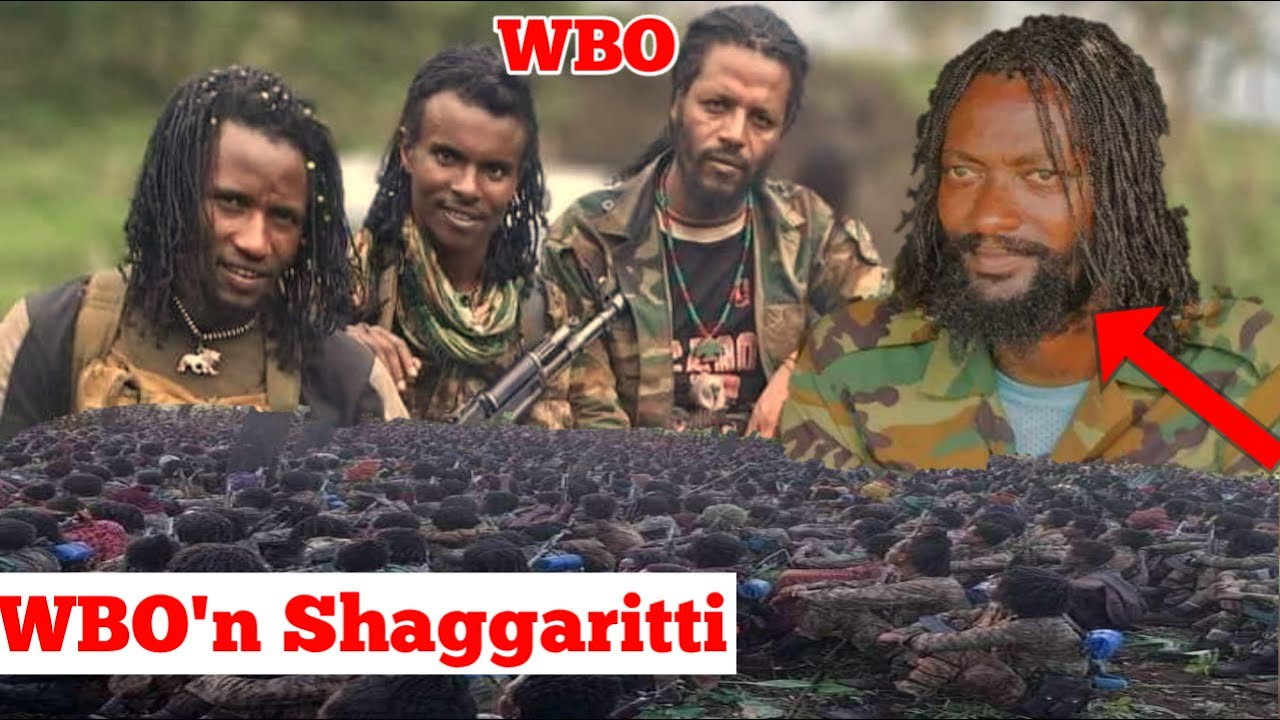 ODUU WBO'n Wallaggaa fi Shawaa lixaatti Tarkaanfii addaa waraana PP ...