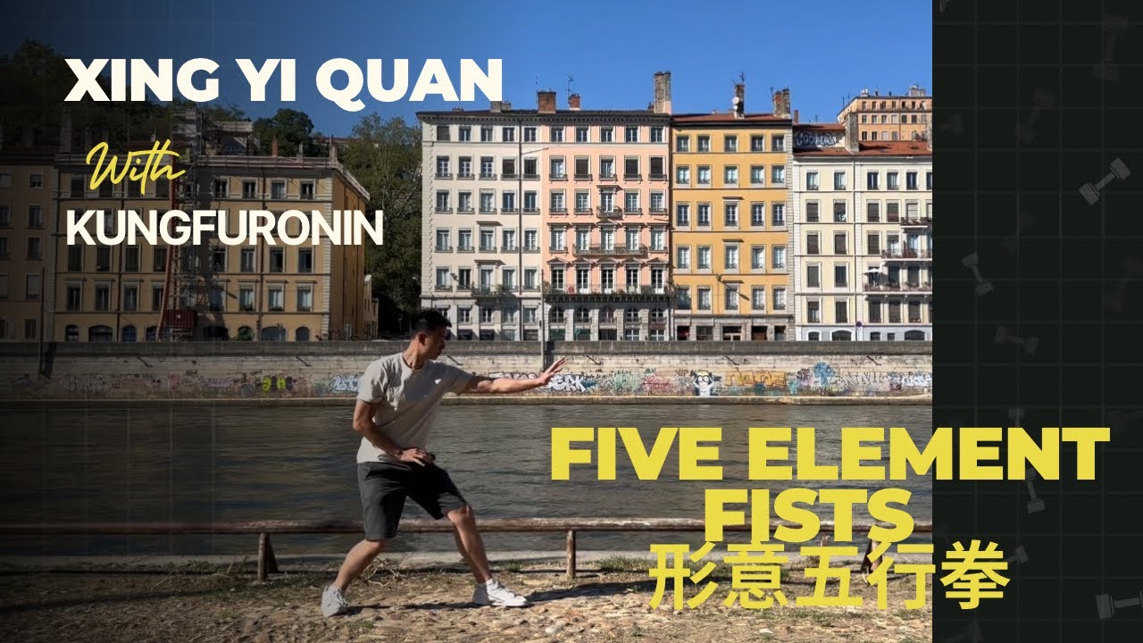 Xing yi quan (形意拳）- Wu xing quan/ Five elements fist by kung fu ronin - YouTube