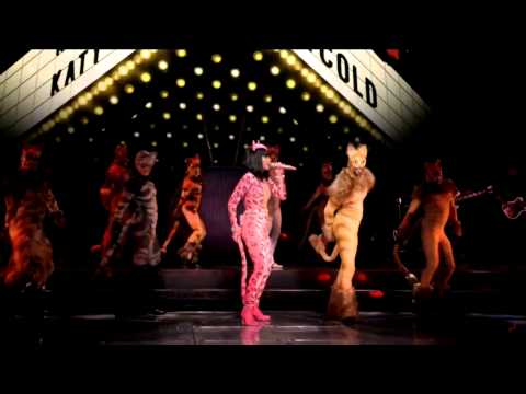 Katy Perry Hot N' Cold- Prismatic World Tour (EPIX)