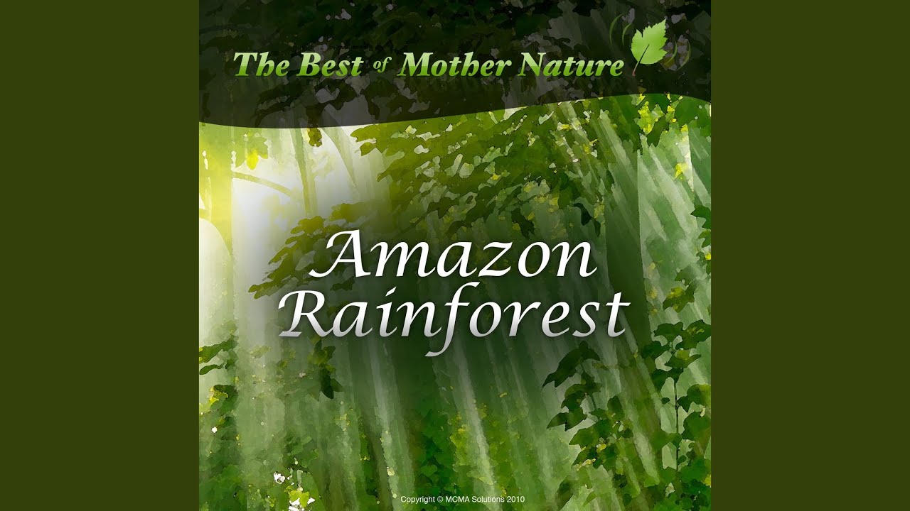 Amazon Rainforest Sounds - YouTube