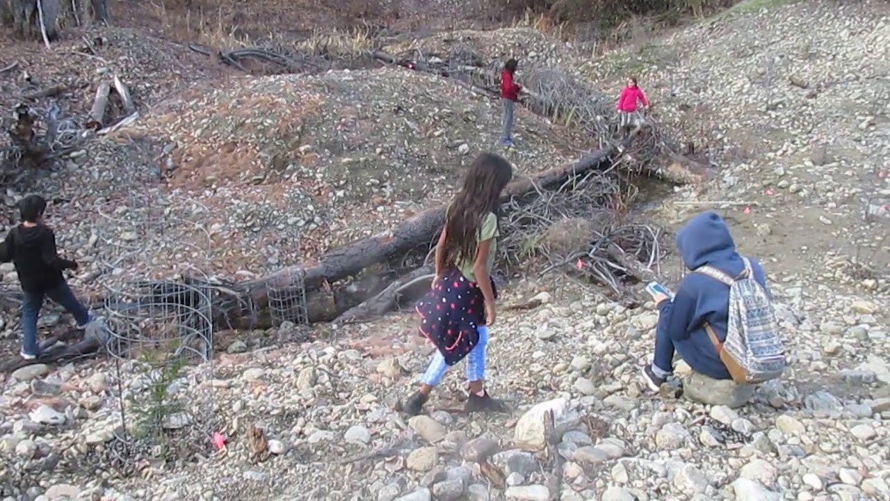 Log Run Contest - YouTube