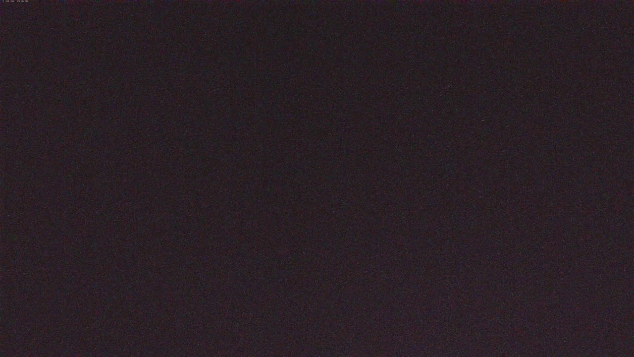 OBSEA CAM Crawler 2 - YouTube