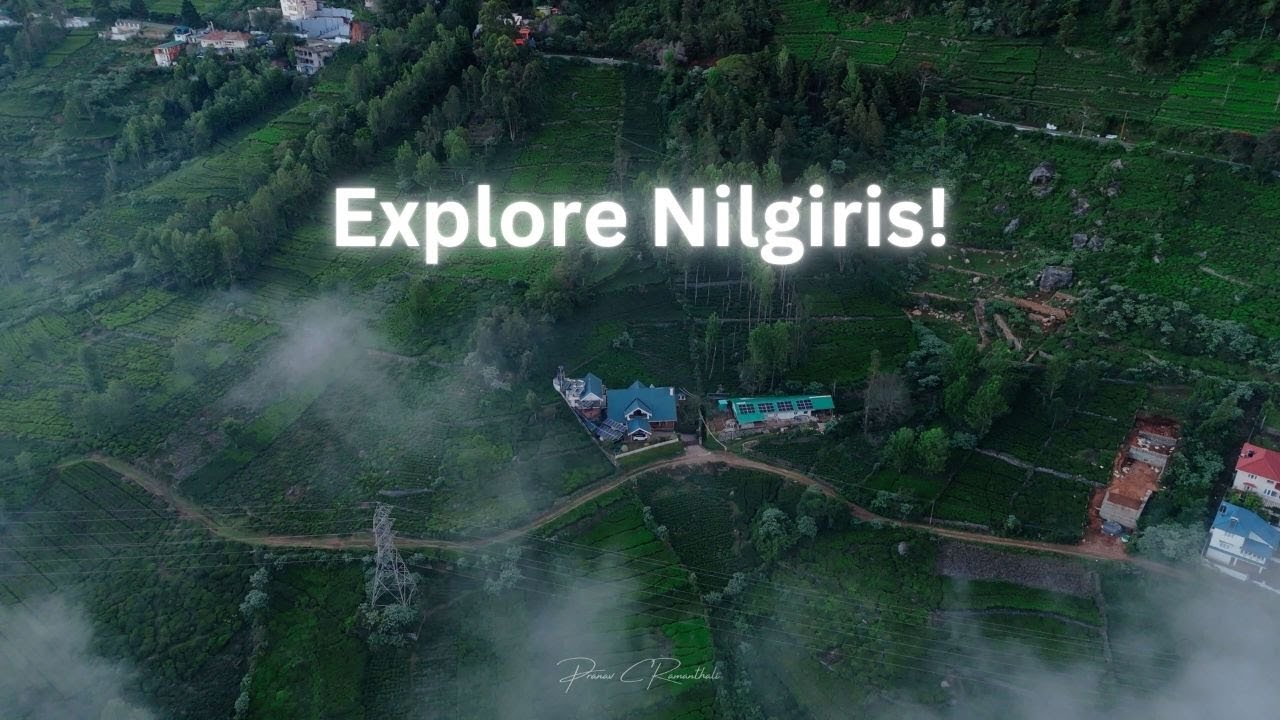 Kotagiri from Above: Stunning Drone Views of Tea Plantations & Nilgiris ...
