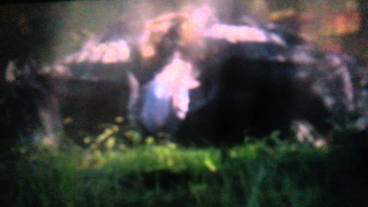 Gore Magala transforming into Shagaru Magala!!! - YouTube