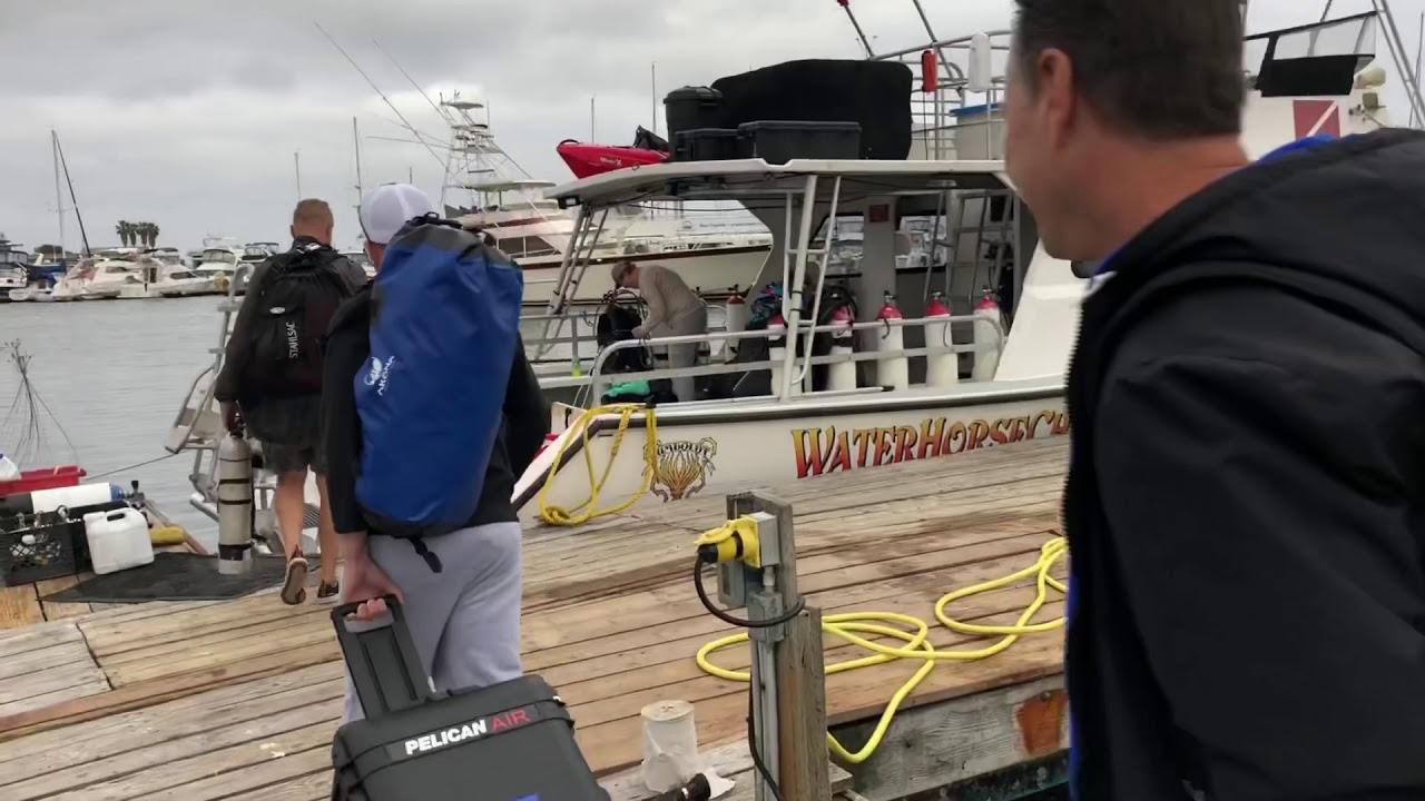 Diving the Yukon - YouTube