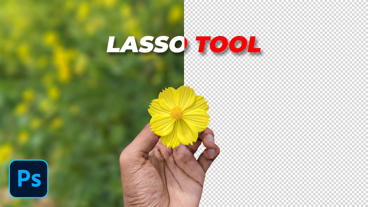How to Select an Object with the Lasso Tool in Photoshop - YouTube