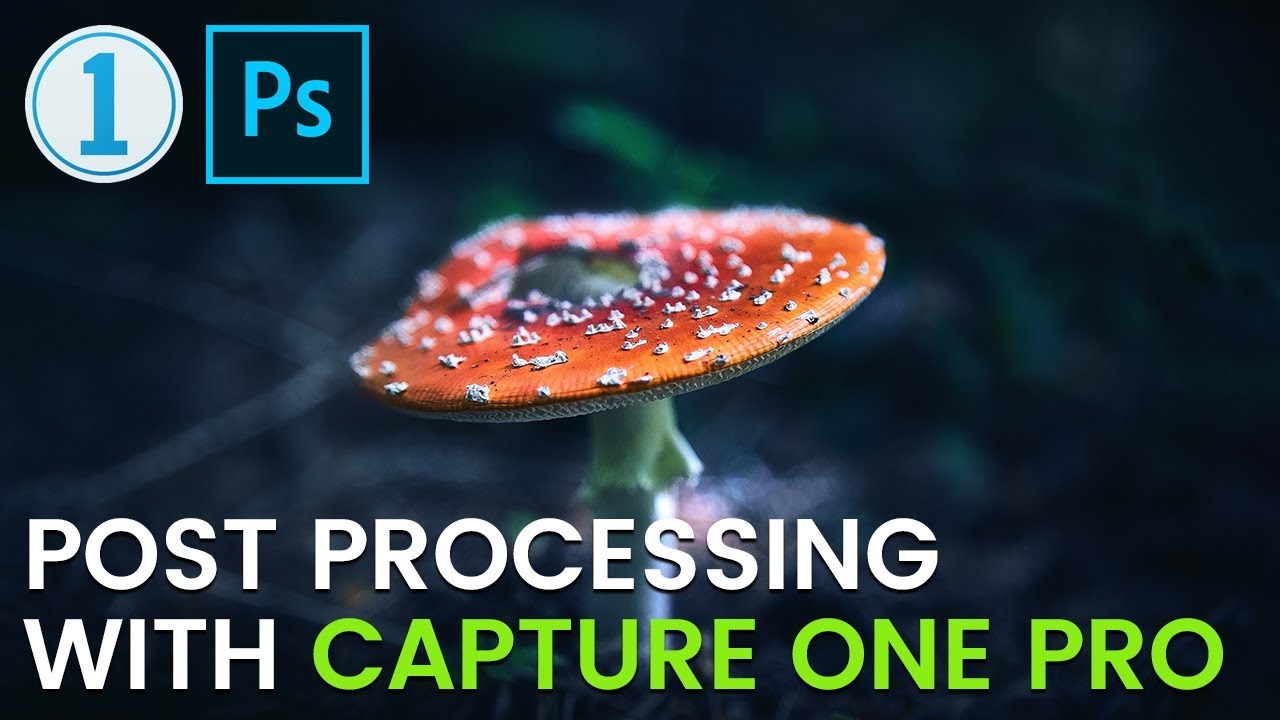 Capture One Pro Macro Post Processing - Full workflow - YouTube