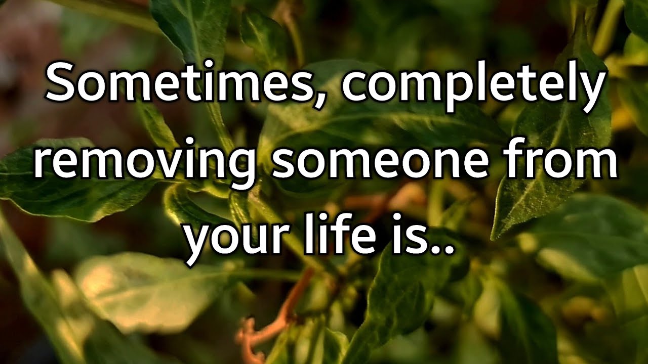 Sometimes, completely removing someone from your life is.. | Psychology ...