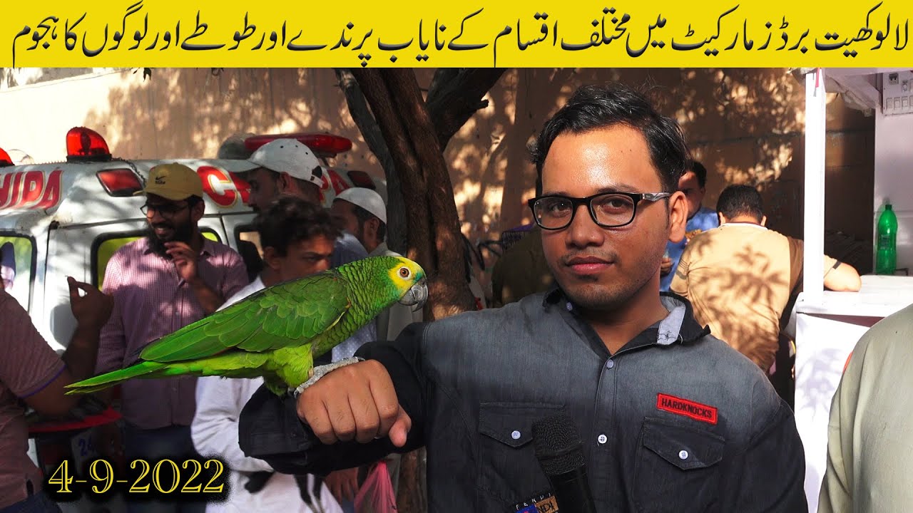 Lalukhet Exotic Birds and Parrots Sunday Market 4-9-2022 Karachi - YouTube