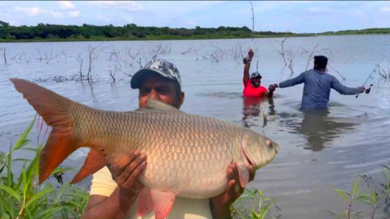 Best Fishing Videos | River Hook Fishing | Fishing And Tricks Video ...