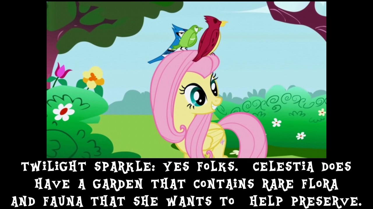 MLP Recap Flashback: The Ticket Master - YouTube