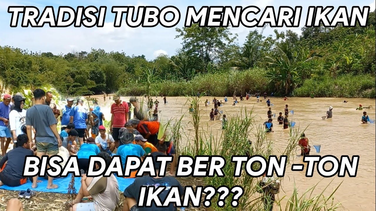 MELIHAT TRADISI TUBO DI SUNGAI TUNTANG DESA NGOMBAK KECAMATAN ...