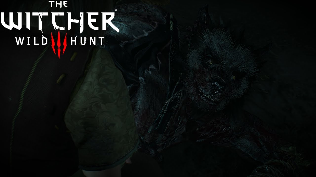 GNADE für einen WERWOLF! | #14 | Let's Play The Witcher 3: Wild Hunt ...
