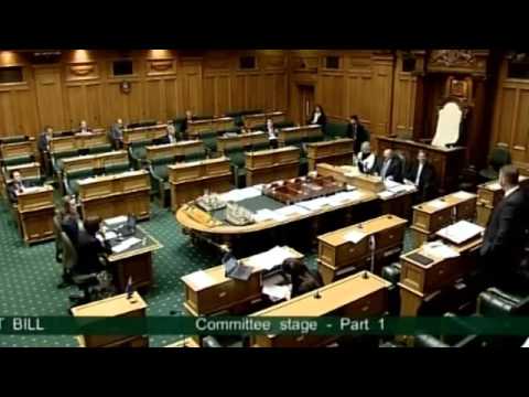 Human Rights Amendment Bill - Committee Stage - Part 1 (8) - YouTube
