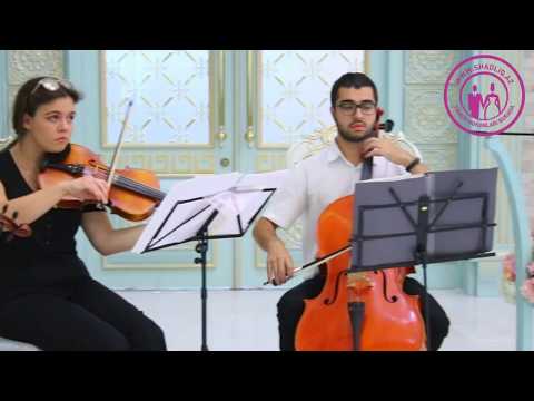 Romance hall restorani menyu qiymetleri