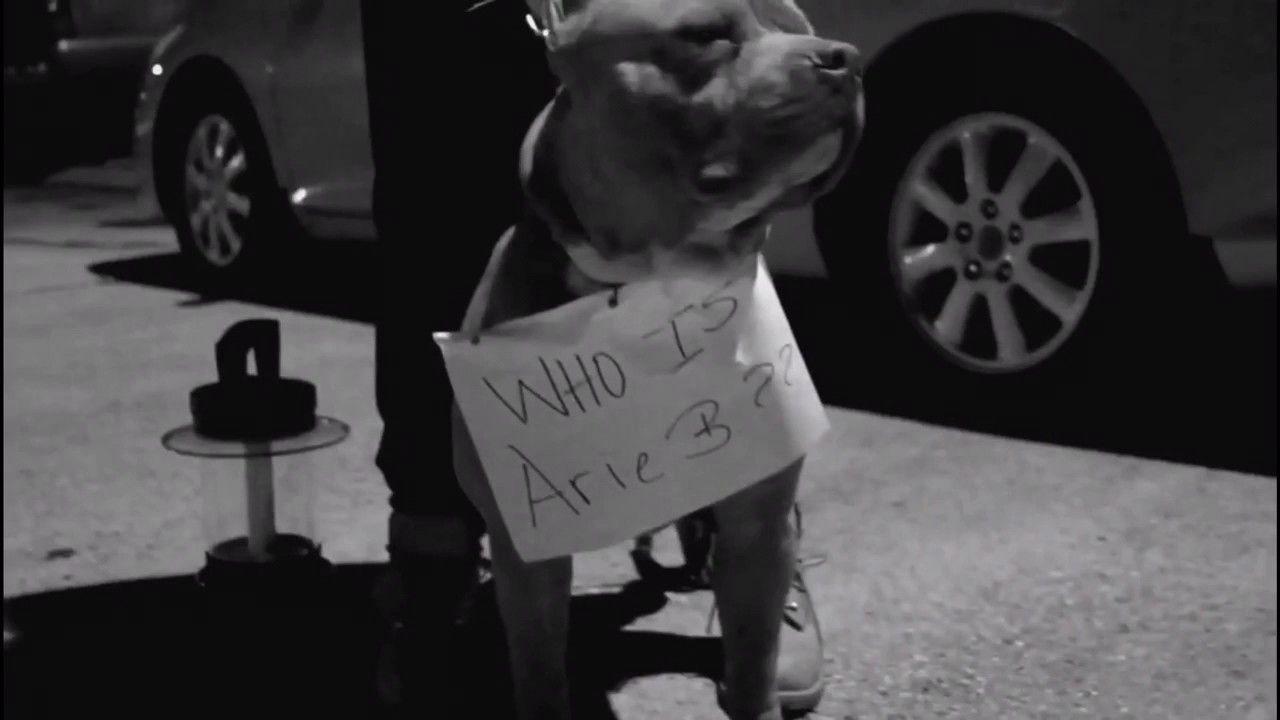 Arie B. - Who is Arie B. - YouTube