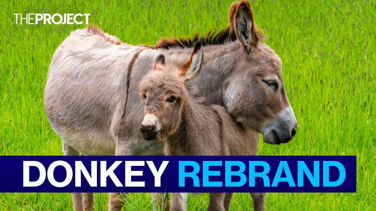 Why This Uni Offers A Course On Donkeys - YouTube