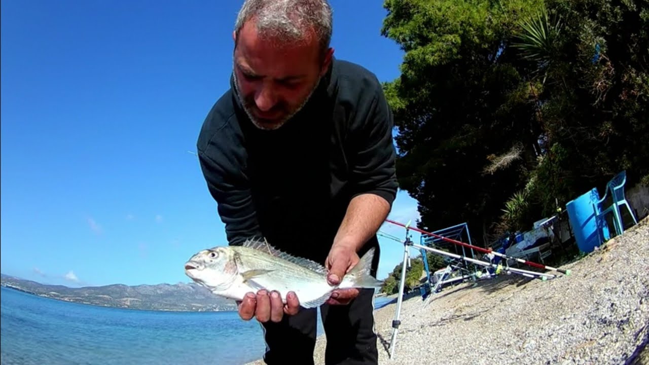 Ψάρεμα τσιπούρας με θετικά και αρνητικά αποτελέσματα + bonus clip - YouTube