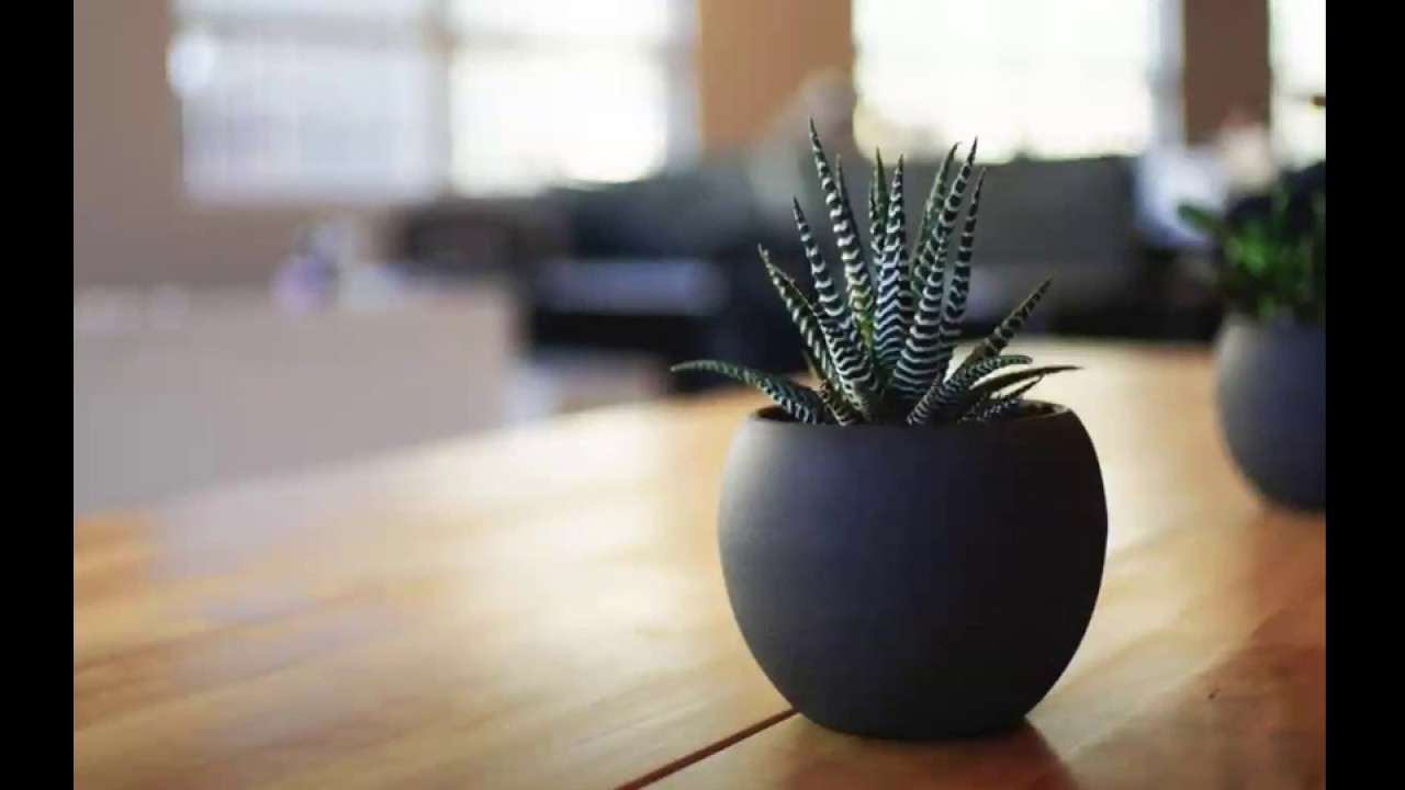 Formation Wordpress Initiation 2018 - YouTube