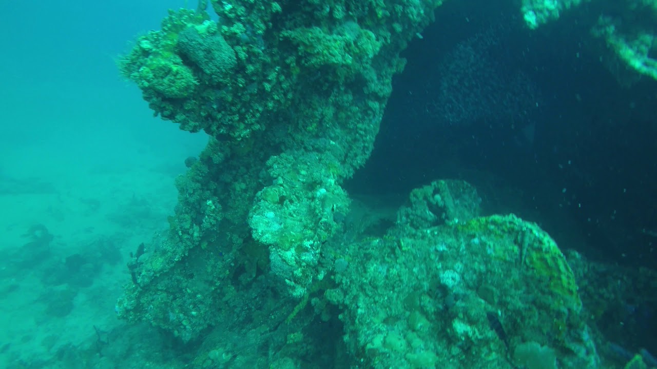Rhone Wreck Dive In Tortola British Virgin Islands - YouTube