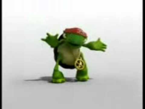 Rap Turtle By Dr.Har.3gp - YouTube