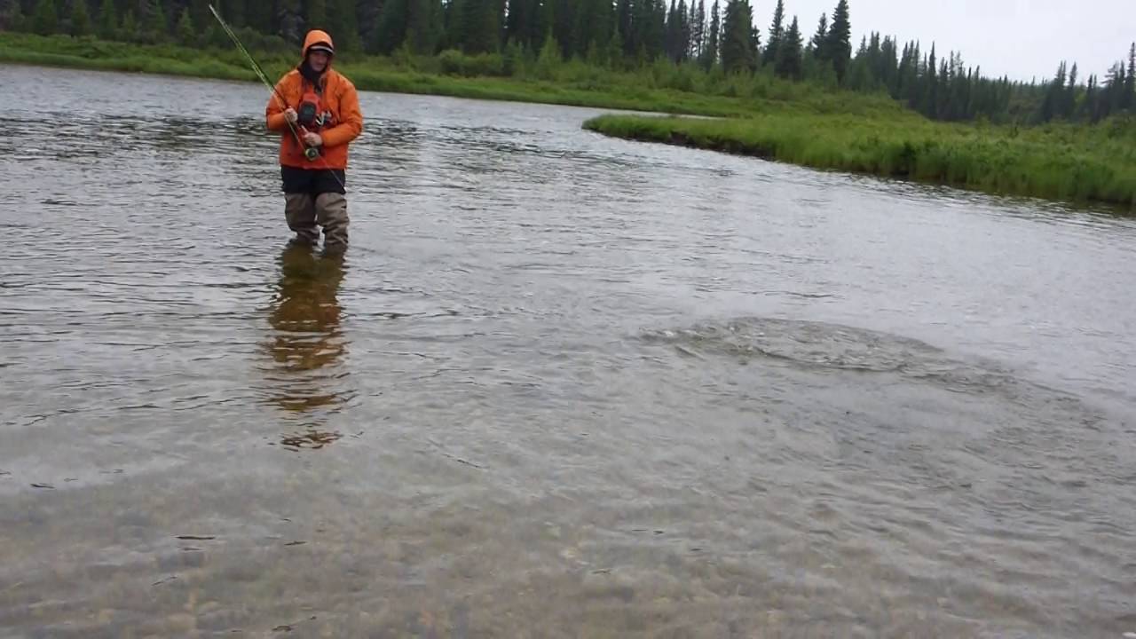 Sutton River Brook Trout on a Fly Rod Ontario, Canada - YouTube