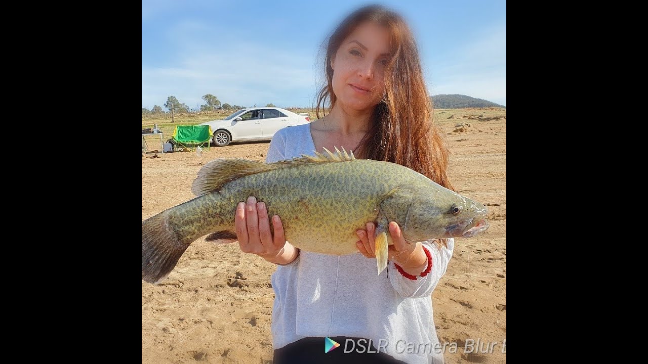 Wyangala Dam #2 I Fishing For Murray Cod I Golden Perch. - YouTube