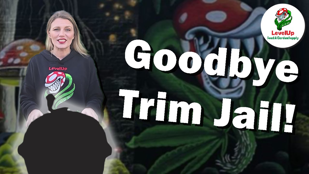 This Will Get You Out of Trim Jail FAST - AC Infinity - YouTube