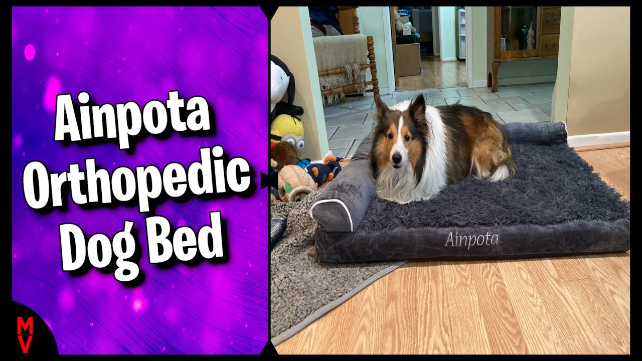 Ainpota Orthopedic Dog Bed || MumblesVideos Product Review - YouTube