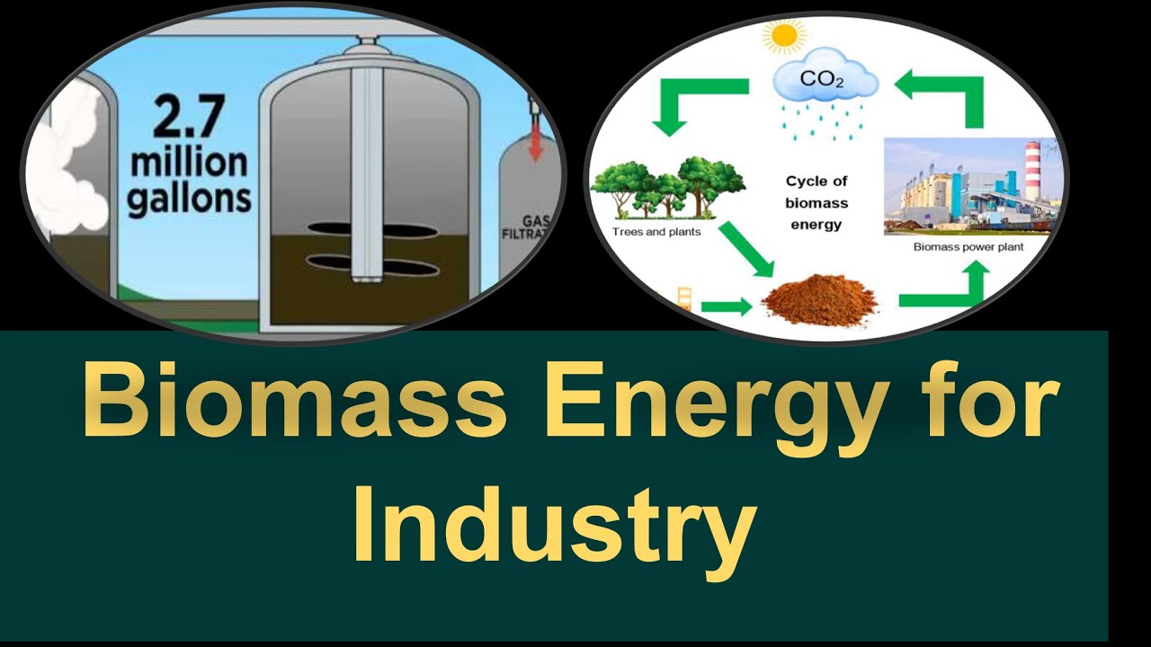 Biomass Energy Cycle
