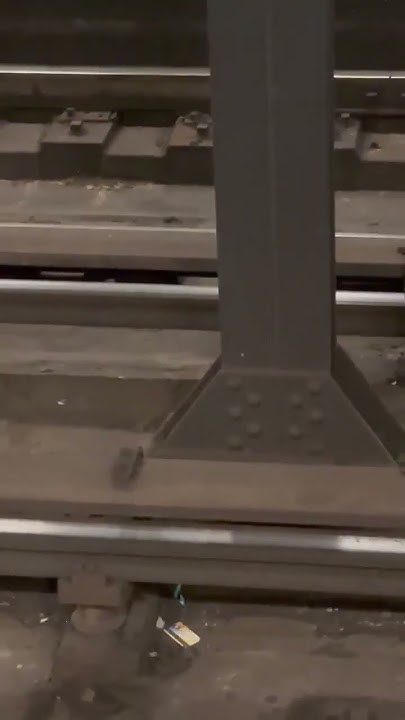 🐀rats In Times Square Subway 🚇 New York 🗽 Usa 🐭 ცაკალელი ვირთხები ნიუ