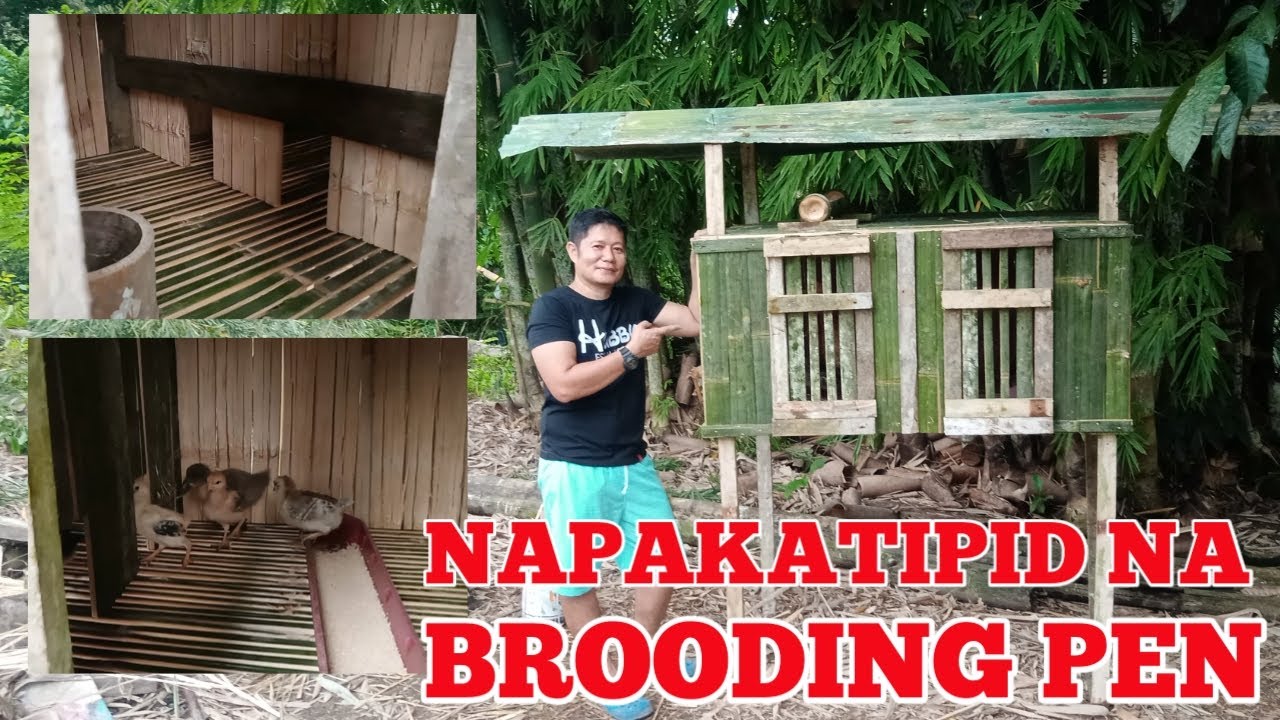 BROODING PEN FOR CHICKS - YouTube