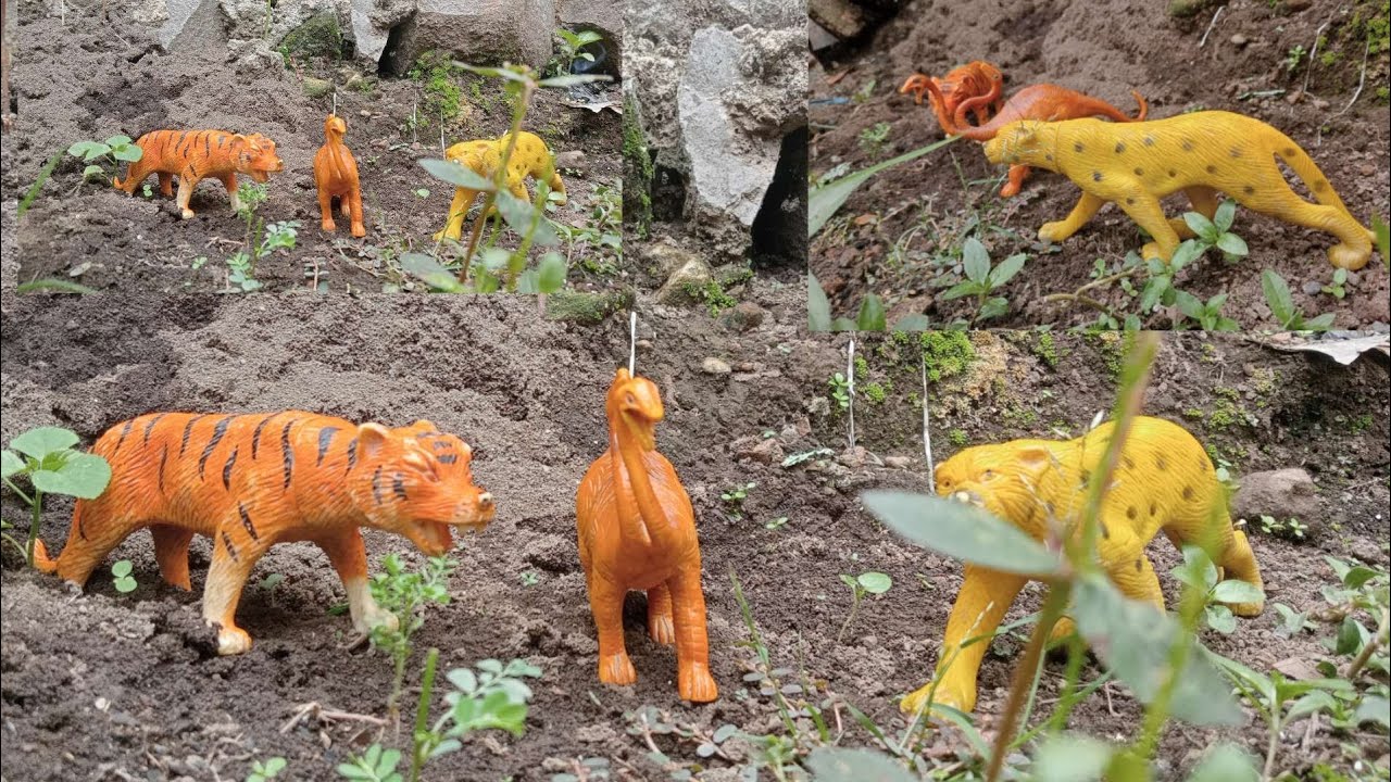 COLLECT ANIMALS - YouTube