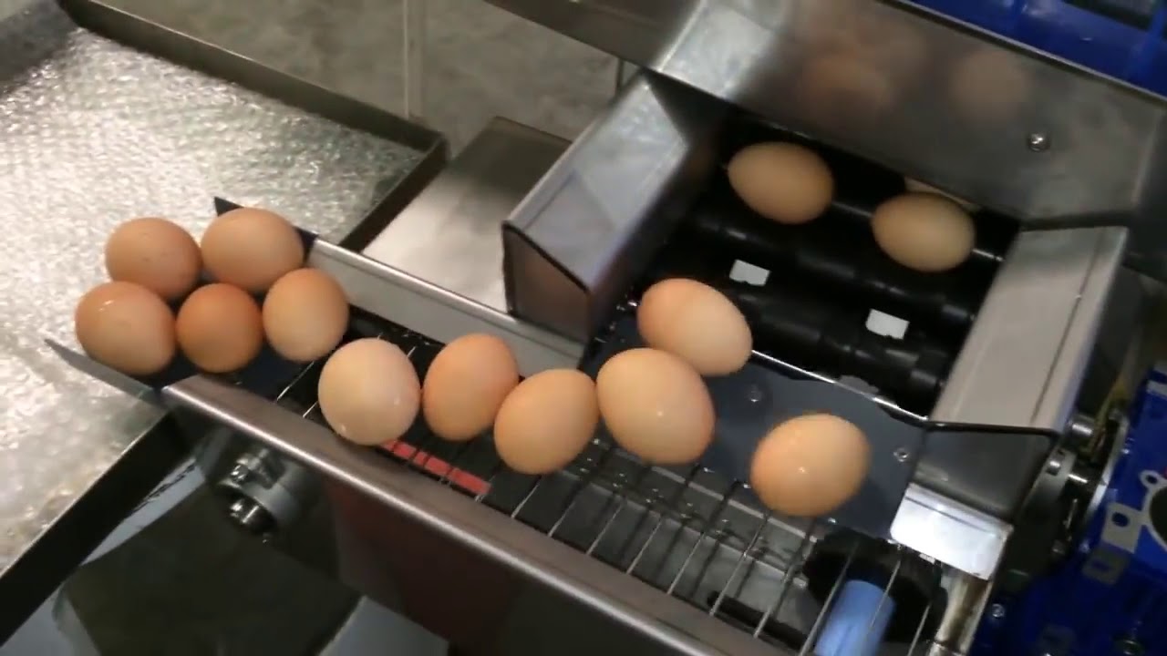 Automatic Egg Packing Machine——Intelligent Technology Smart Farming ...