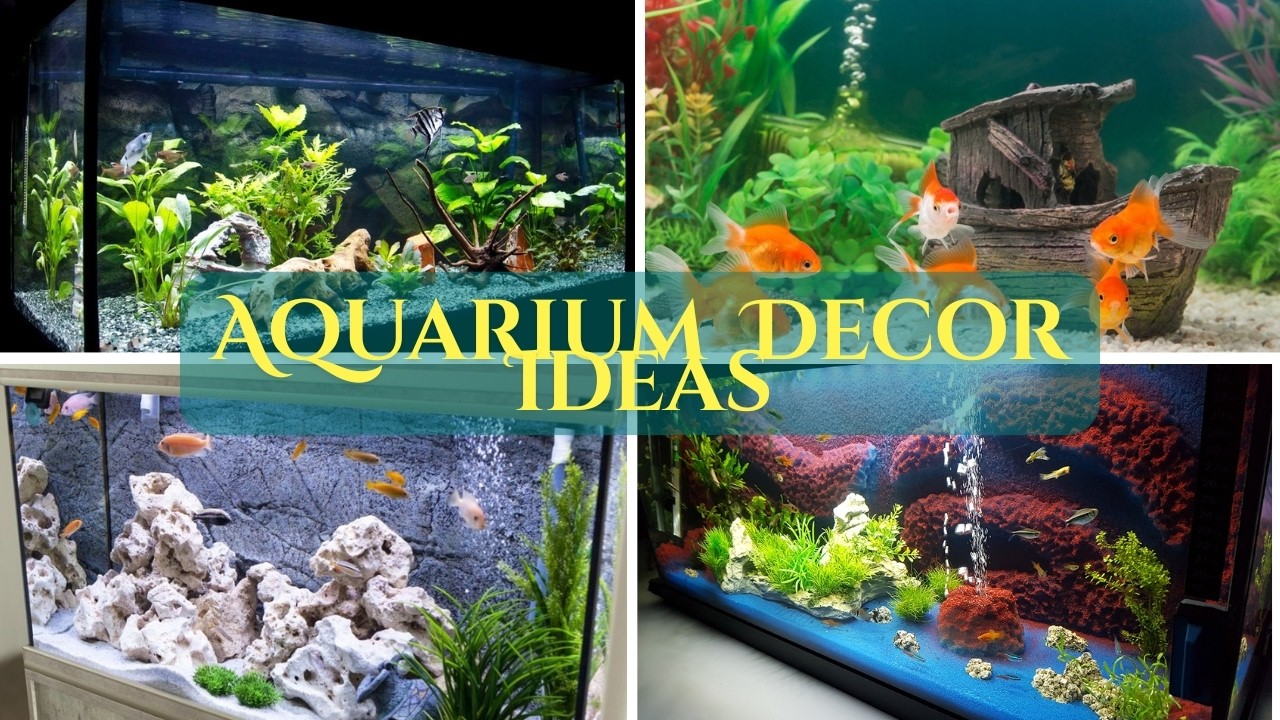 101 Cool Aquarium Decorations Ideas 2026 – Fish Tank Decor, Ornaments ...